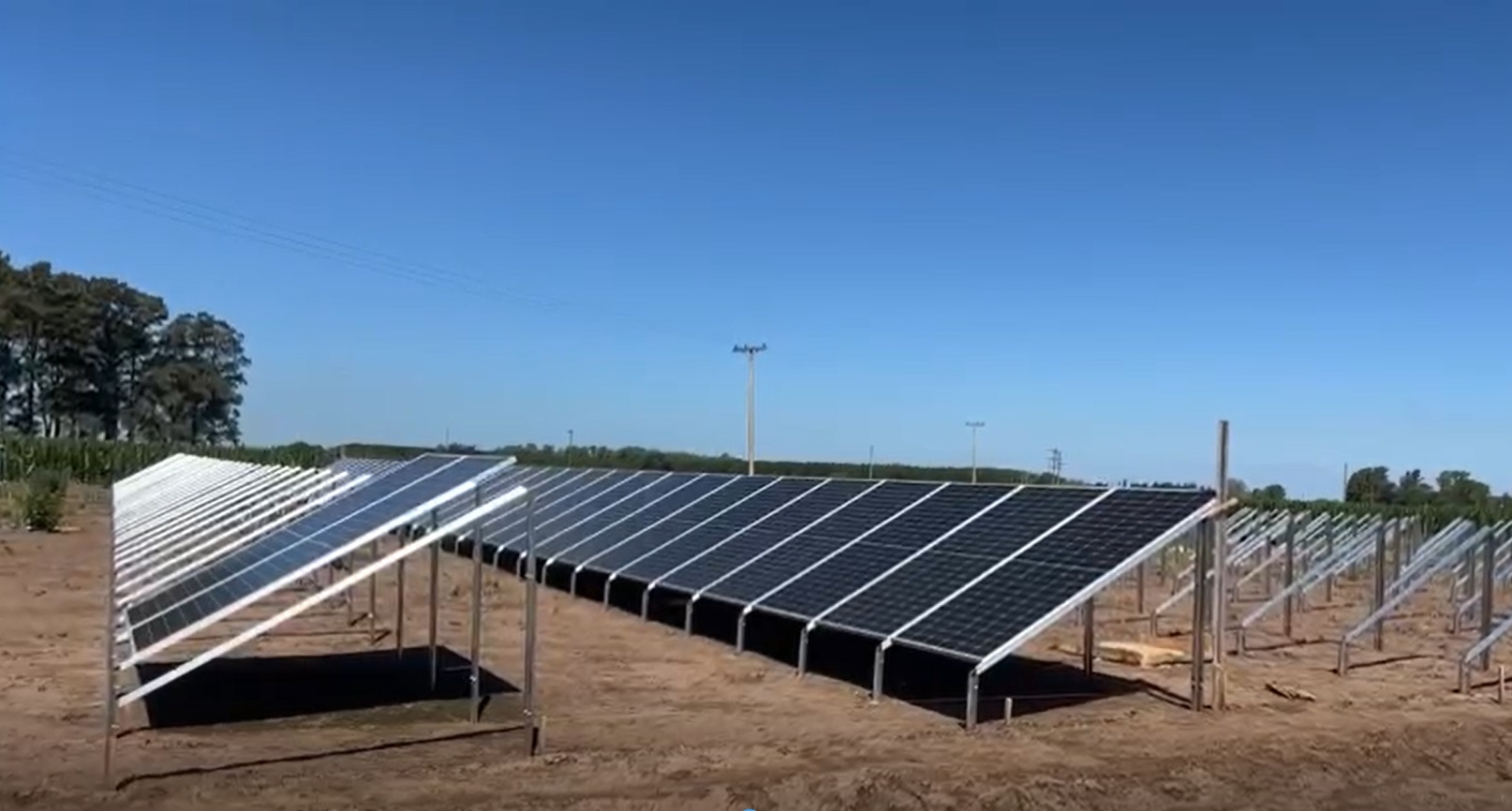 Exclusivo. Argentina tendrá la primera planta extrusora de soja a ...