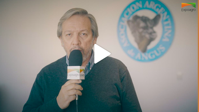 ¿Cómo se evalúa la carne Angus antes de ser exportada? Nos lo explica ...