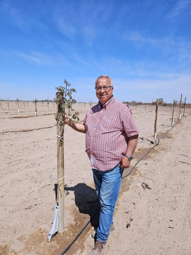 El futuro del pistacho está en Argentina - Expoagro - Edición YPF Agro